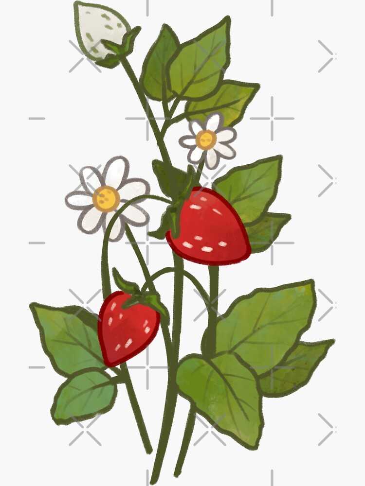"Strawberry Plant" Sticker for Sale by GardenMothArt | Redbubble