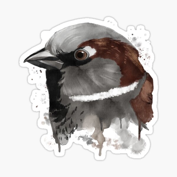"Splash Bird Sparrow" Sticker for Sale by alwe-designs | Redbubble