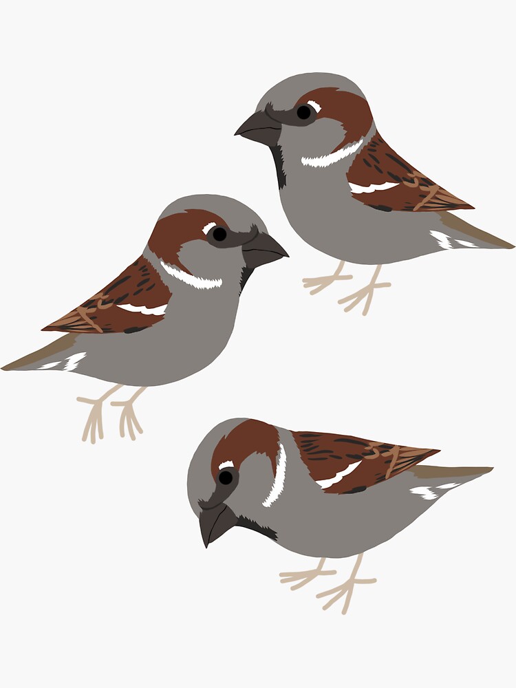"Colorful Splash Flying Bird Sparrow" Sticker for Sale by alwe-designs ...