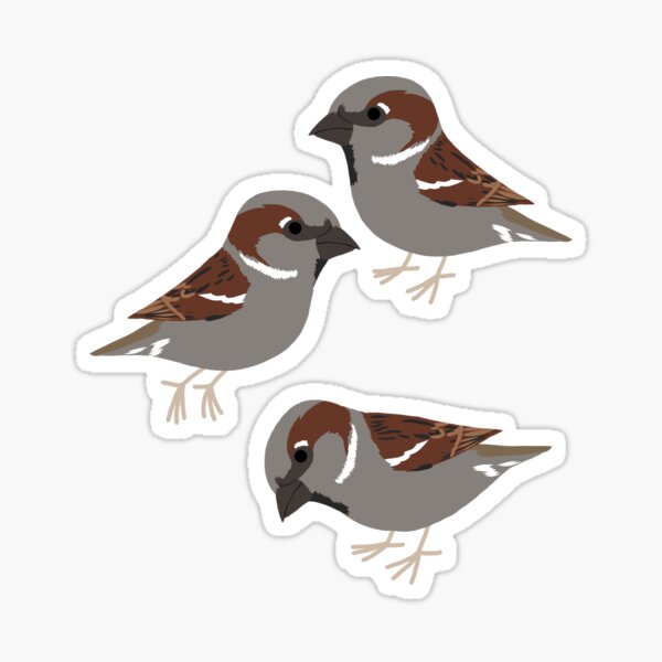 "Colorful Splash Flying Bird Sparrow" Sticker for Sale by alwe-designs ...