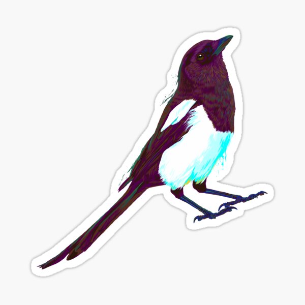 "Colorful Splash Bird Magpie" Sticker for Sale by alwe-designs | Redbubble
