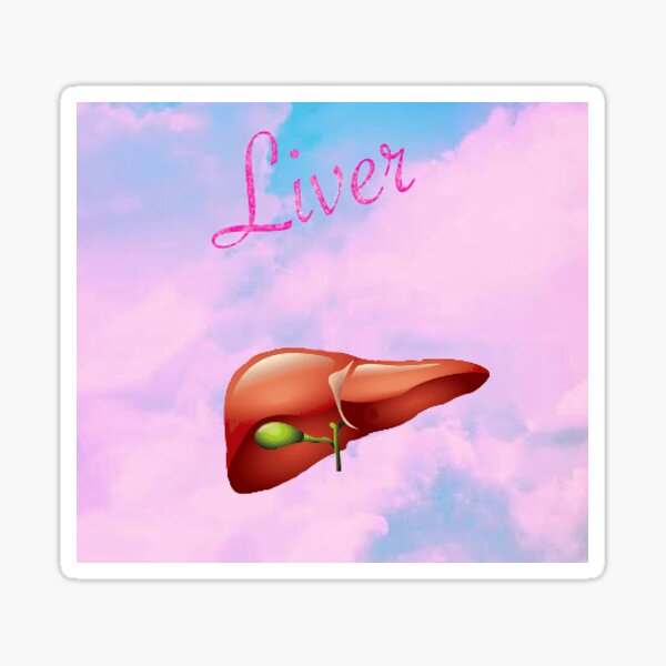 "Liver Album Cover" Sticker for Sale by abbiemyers | Redbubble