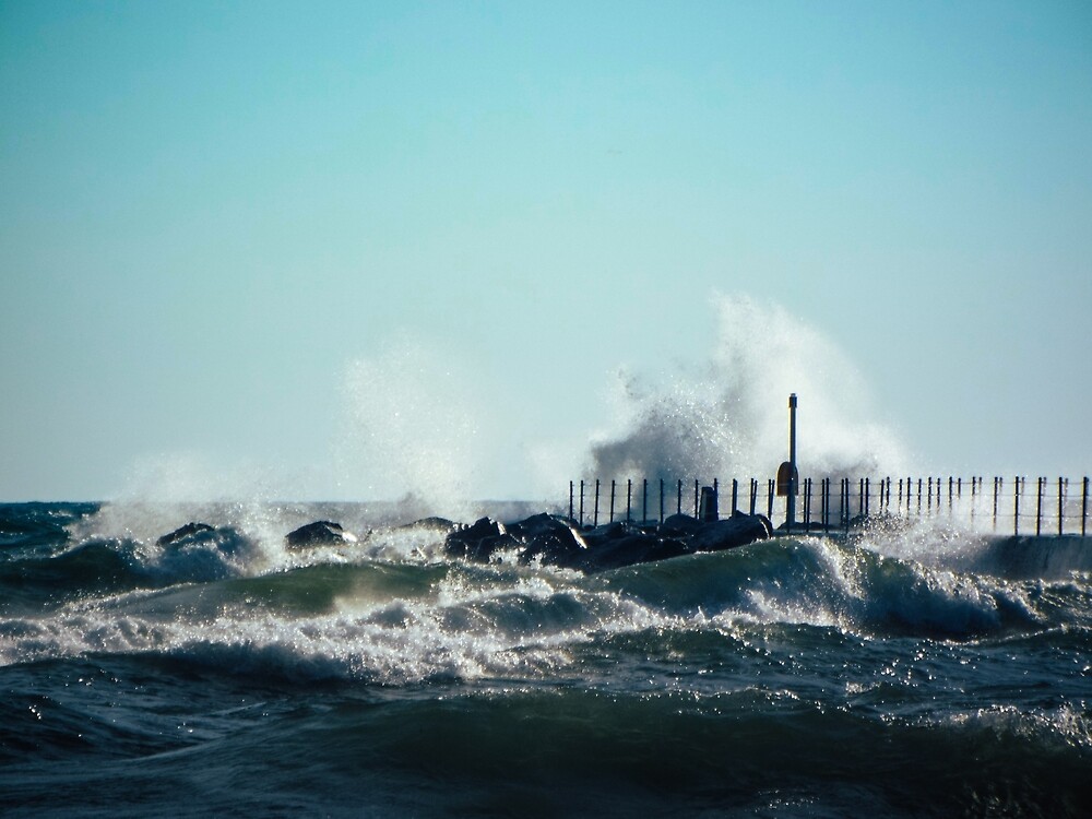 "Water Horse" by Shellie Hill | Redbubble