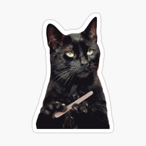 "black cat filing claws meme" Sticker for Sale by artsypatterns | Redbubble