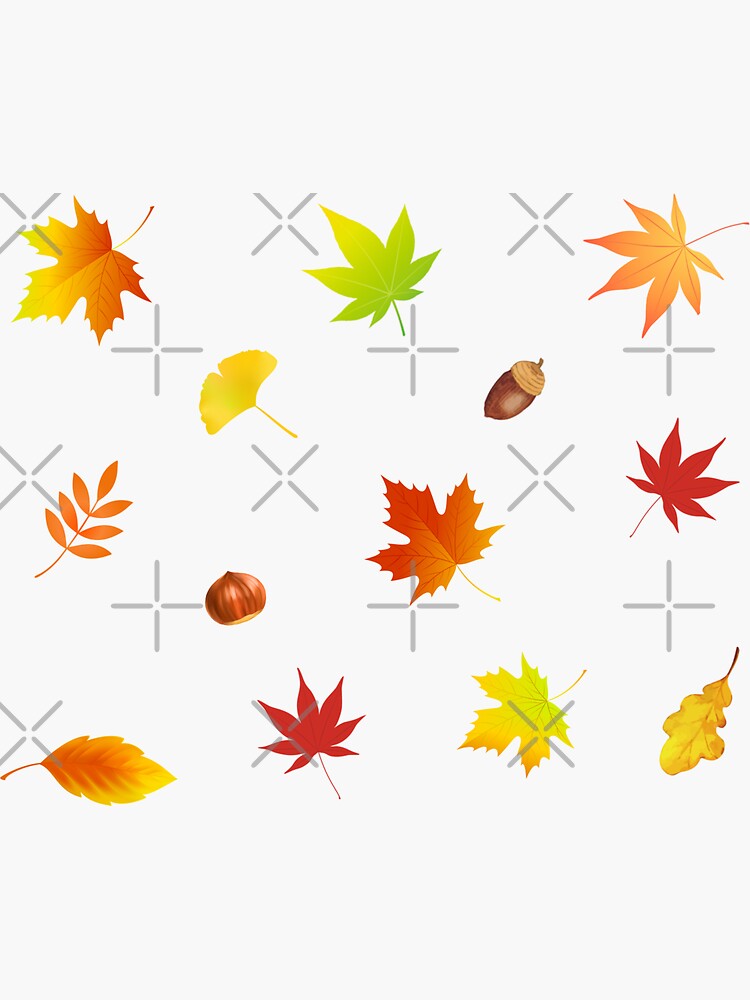 "Autumn Leaves Stickers Pack" Sticker for Sale by myau2222 | Redbubble