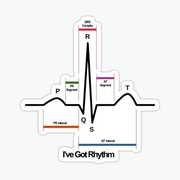 Ecg Stickers | Redbubble