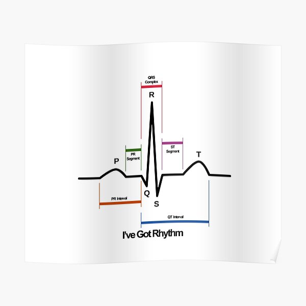 Ecg Posters | Redbubble