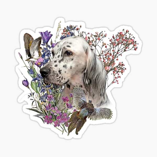 "The English Setter portrait , Art " Sticker for Sale by TammyHunterArt ...