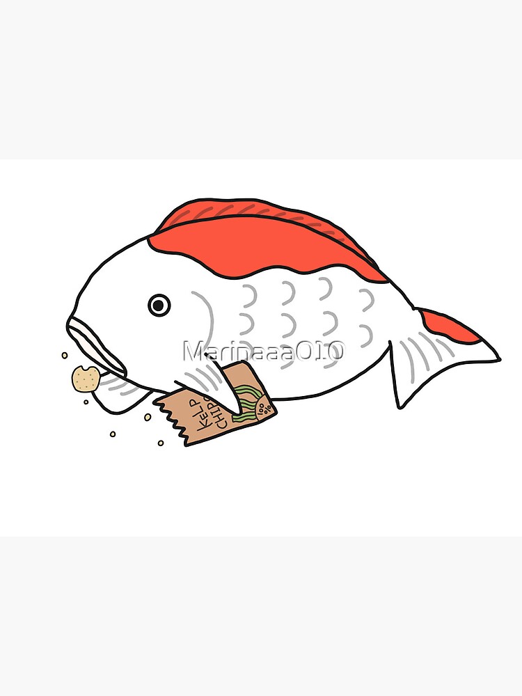 Koi Fish Fat Belly
