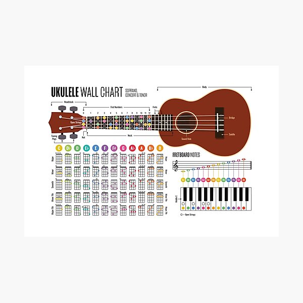 "Ukulele Wall Chart - Soprano, Concert & Tenor" Photographic Print for ...