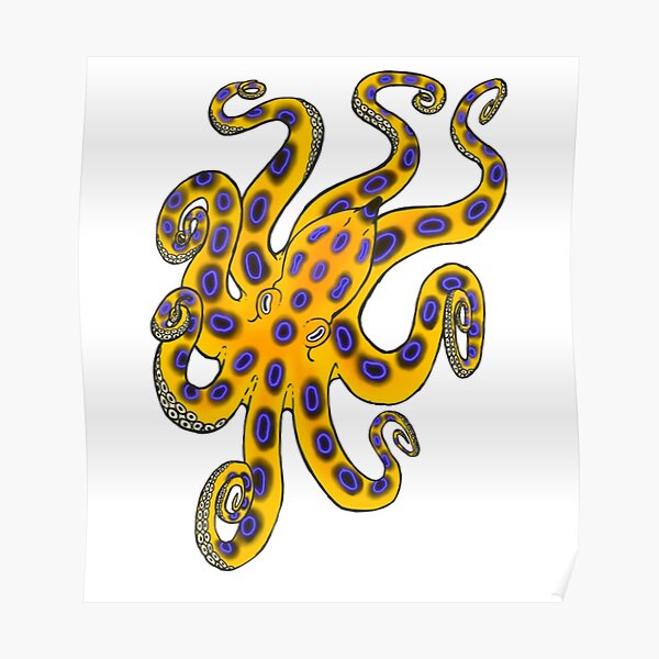 "Blue Ringed Octopus " Poster for Sale by Fudoitga | Redbubble