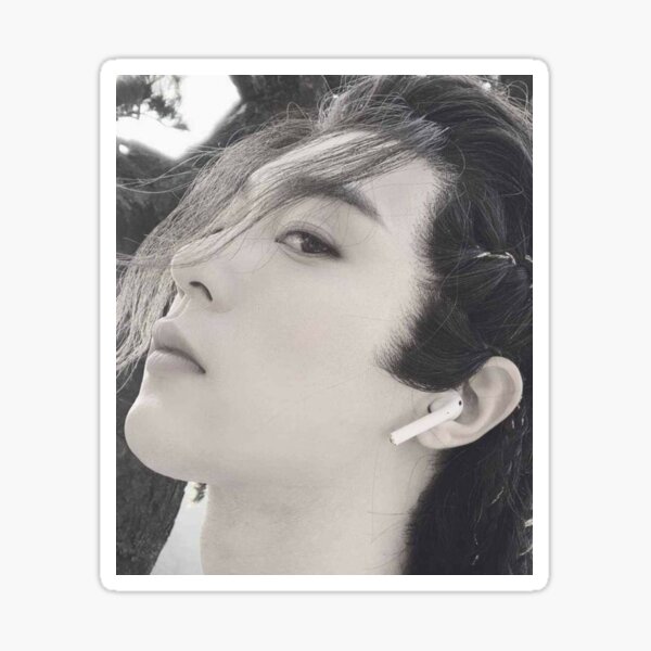 "Li Jun Chen - v4" Sticker for Sale by fernfg | Redbubble