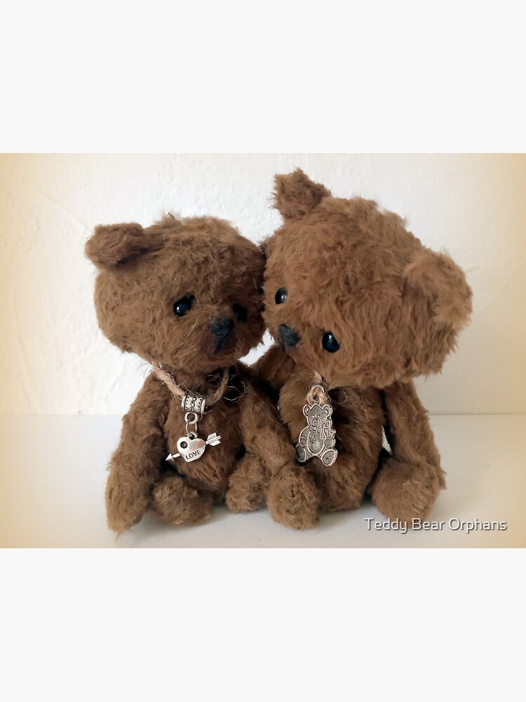 " 'Bingle and Bongle', orphan brothers. Handmade bears from Teddy Bear ...