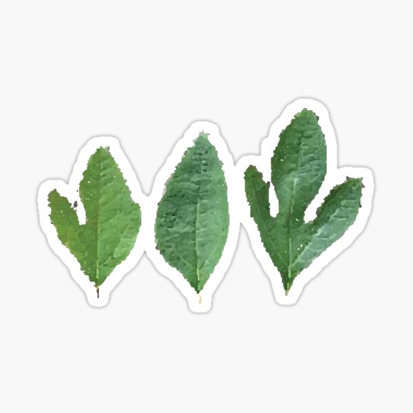 "Sassafras Leaves" Sticker for Sale by lifeofdunn | Redbubble