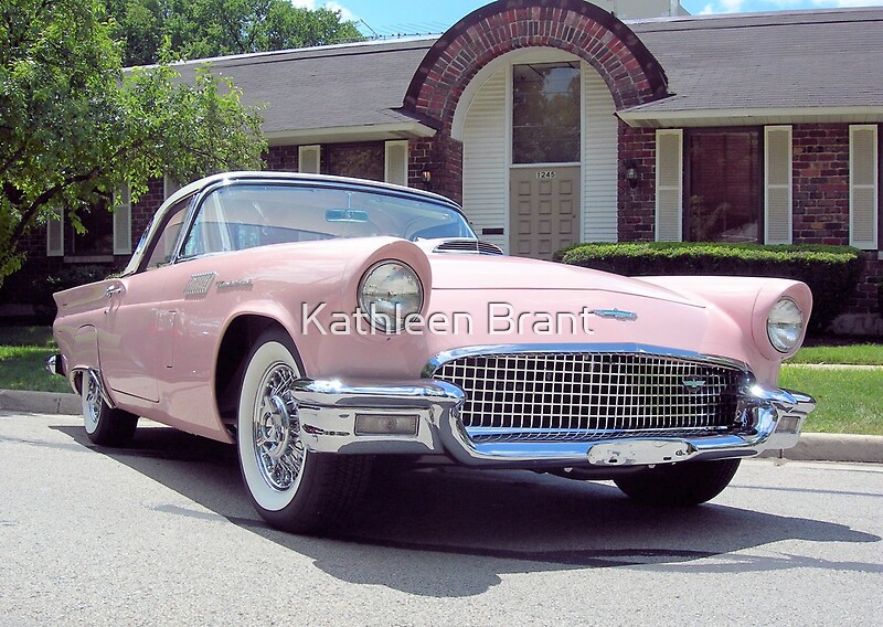 "Pink Thunderbird" by Kathleen Brant | Redbubble