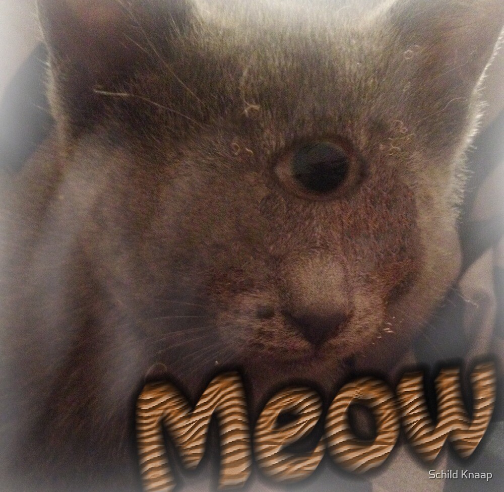 "Cute Cat Ogre meow" by Schild Knaap | Redbubble