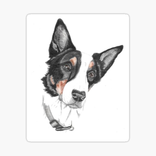 "Handsome Zack" Sticker for Sale by EmmaandtheBear | Redbubble
