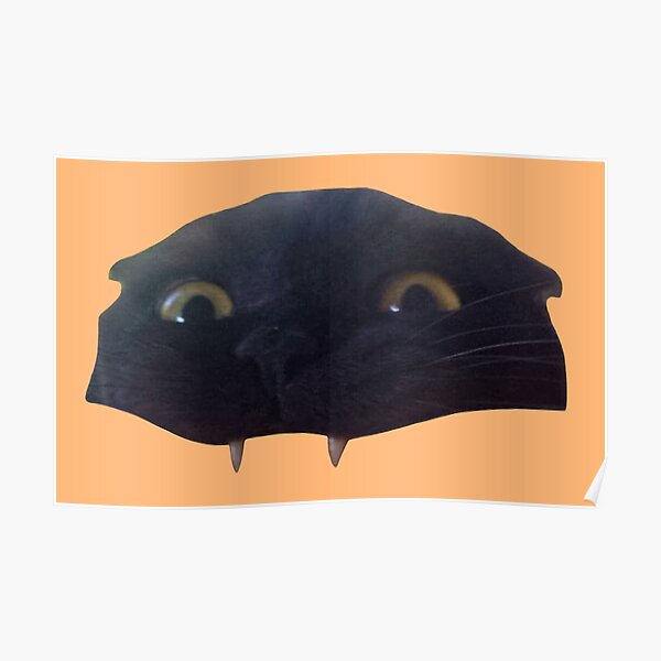 "cat meme" Poster for Sale by tttatia | Redbubble
