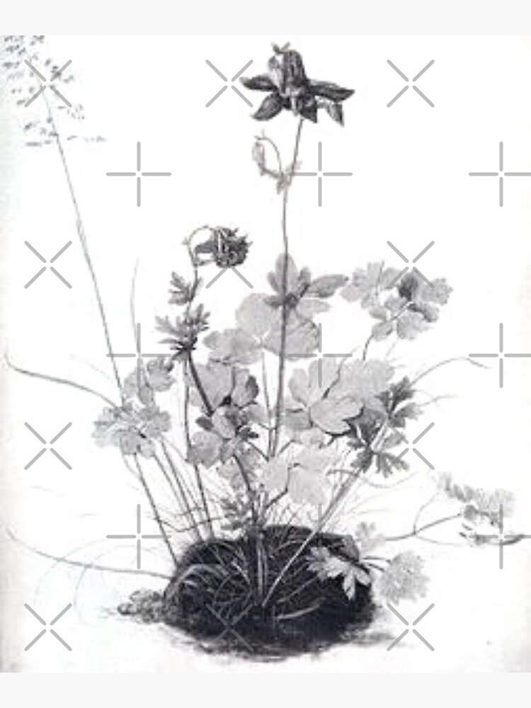 "The piece of turf famous art of albrecht dürer " Poster for Sale by ...