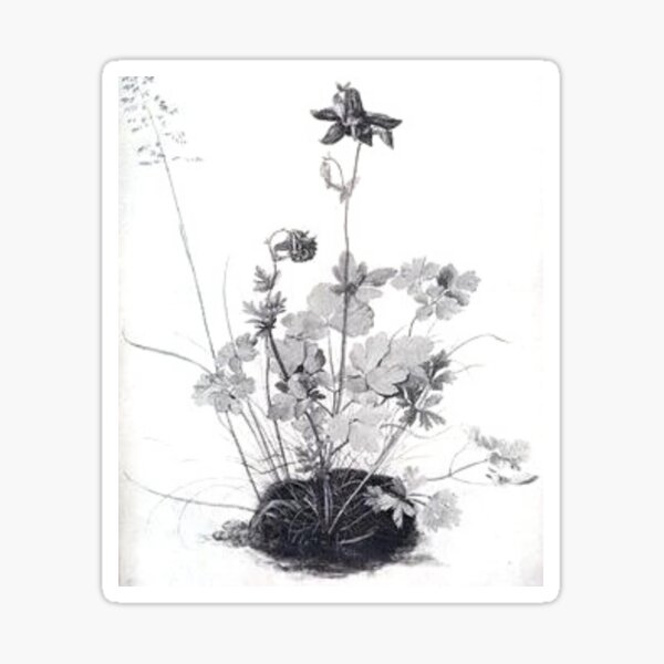 "The piece of turf famous art of albrecht dürer " Sticker for Sale by ...