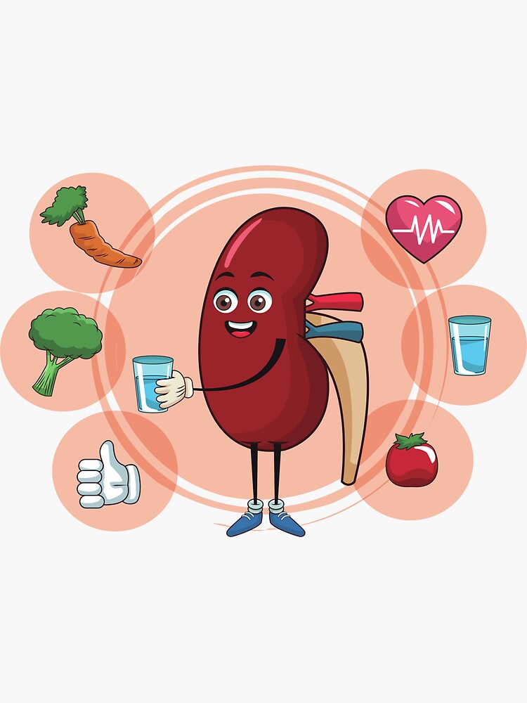 "Kidney Funny Carton " Sticker for Sale by Shailagh14 | Redbubble