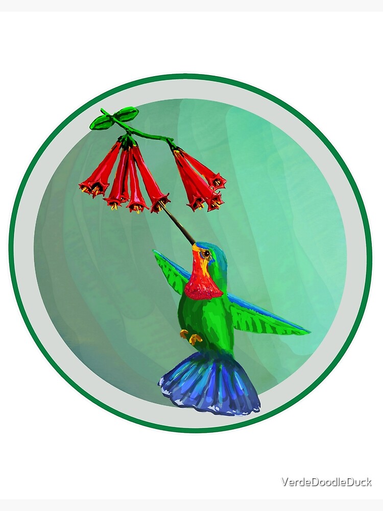 "Hummingbird and Honeysuckle" Poster for Sale by VerdeDoodleDuck ...