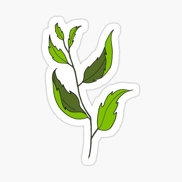 "Cute Green Leaf" Sticker for Sale by ParisaRezaei | Redbubble
