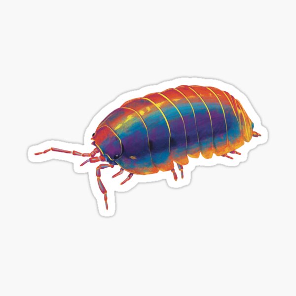 "Woodlouse" Sticker for Sale by pokegirl93 | Redbubble