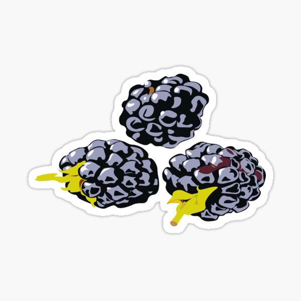 "Black berry design-fruit collection-" Sticker for Sale by KBB-arts ...