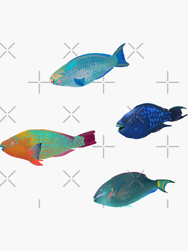 "Happy Parrotfish" Sticker for Sale by Mjm36 | Redbubble