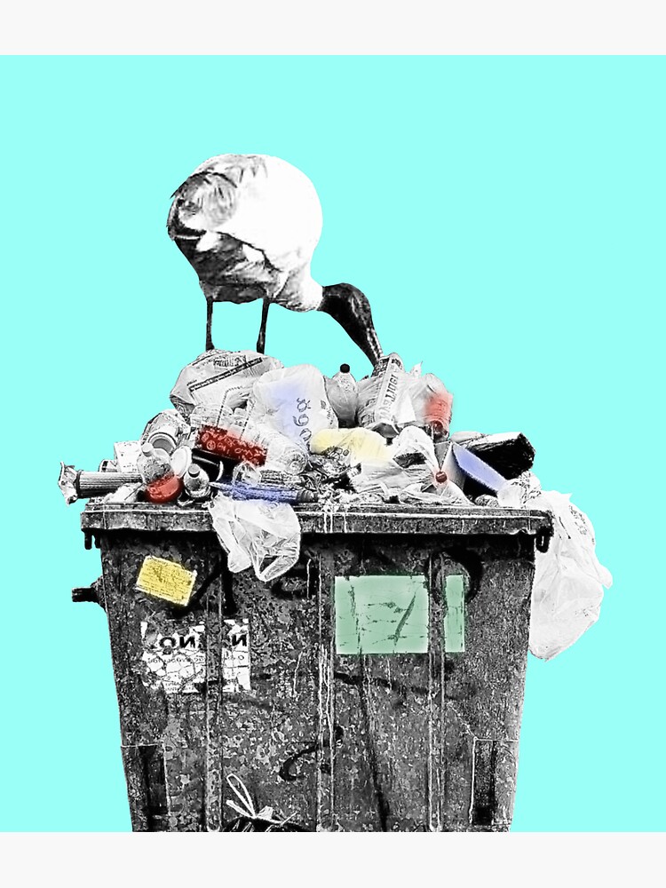 "Trash talking tip turkey" Sticker for Sale by TheLoneIbis | Redbubble