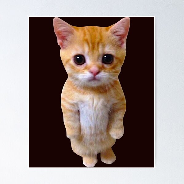"El Gato Meme Sad Crying Cat Munchkin Kitty Meme Trendy " Poster for ...