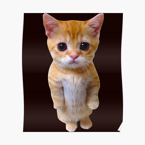 "El Gato Meme Sad Crying Cat Munchkin Kitty Meme Trendy " Poster for ...
