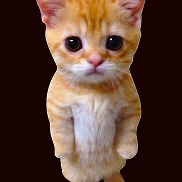 "El Gato Meme Sad Crying Cat Munchkin Kitty Meme Trendy " Poster for ...