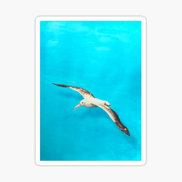 "Albatross Seabird Painting" Sticker for Sale by Tigeress- | Redbubble