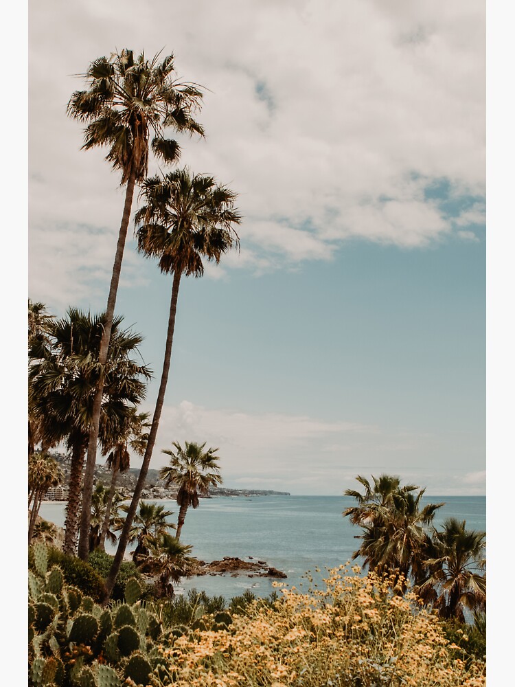 "Laguna Beach Ocean View" Sticker for Sale by AmberdenOudsten | Redbubble