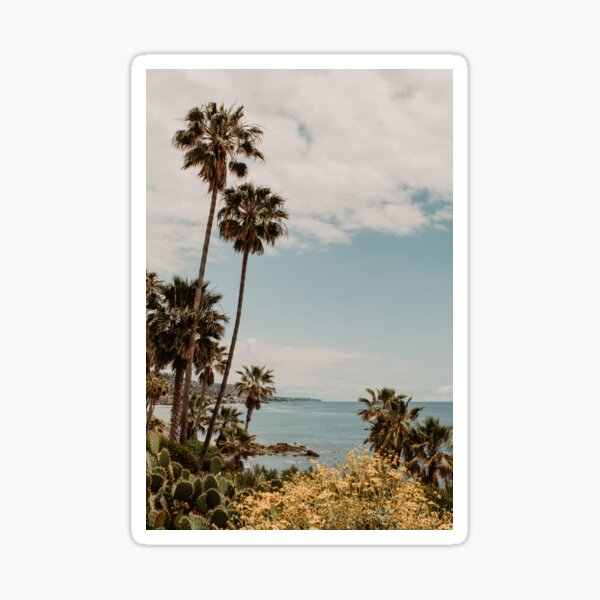 "Laguna Beach Ocean View" Sticker for Sale by AmberdenOudsten | Redbubble
