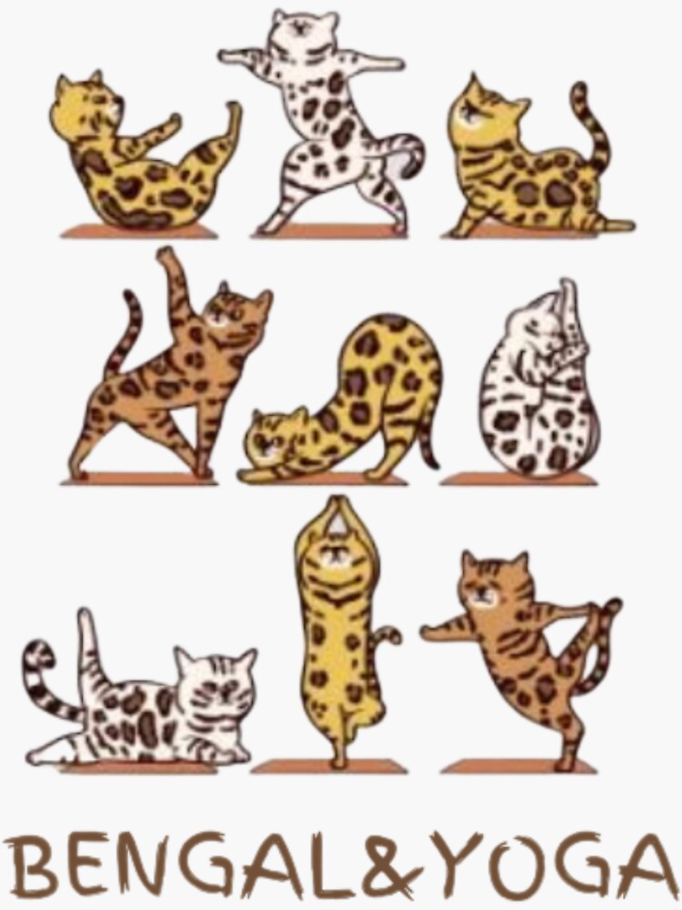 " BengArt - the shop of a kitty-loving cat bender" Sticker for Sale by ...