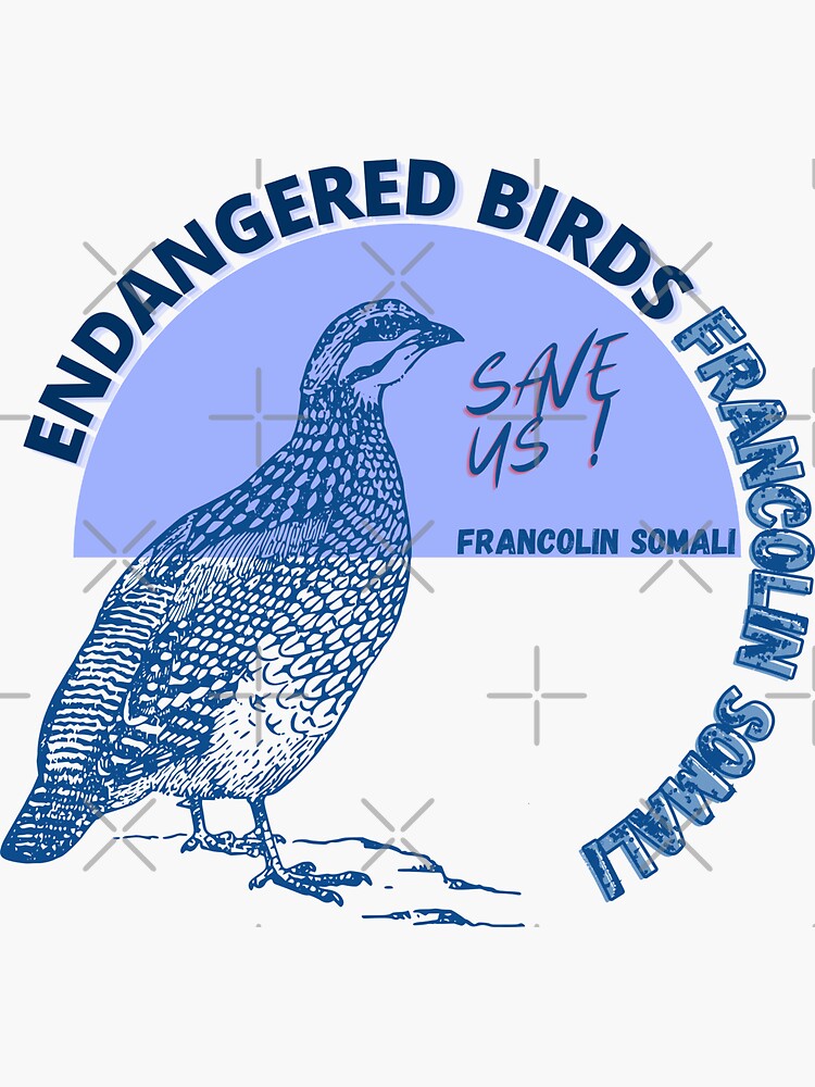 "Francolin somali " Sticker for Sale by yassooarts | Redbubble