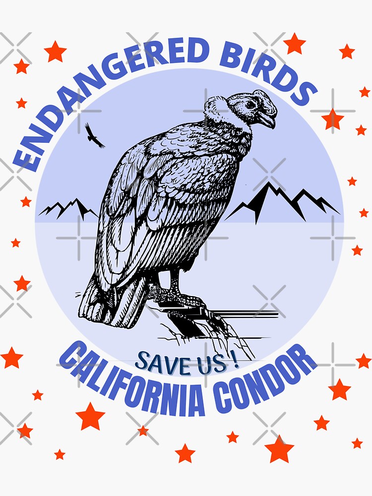 "california condor" Sticker for Sale by yassooarts | Redbubble