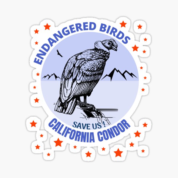 "california condor" Sticker for Sale by yassooarts | Redbubble