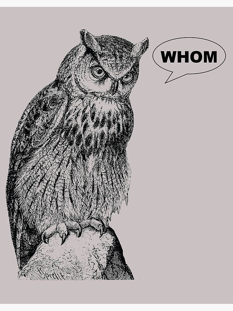 "Whom Owl Funny Grammar " Poster by scooterbaby | Redbubble