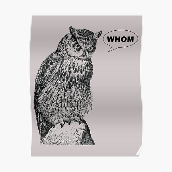 "Whom Owl Funny Grammar " Poster by scooterbaby | Redbubble