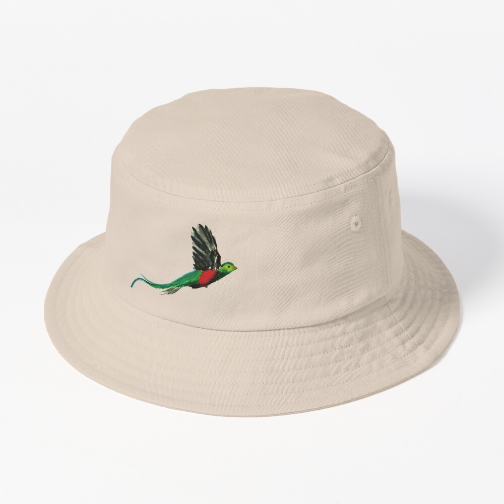 "Costa Rica Quetzal Watercolor " Art Print for Sale by julyperson ...