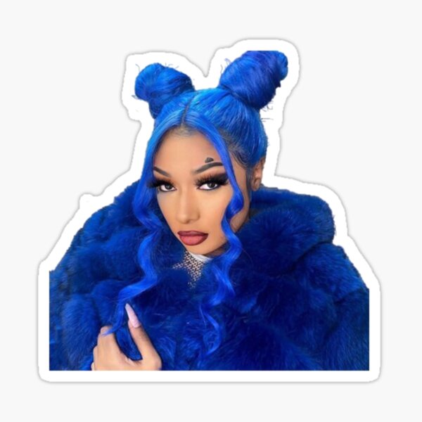 "Megan Thee Stallion " Sticker for Sale by anakinazja | Redbubble