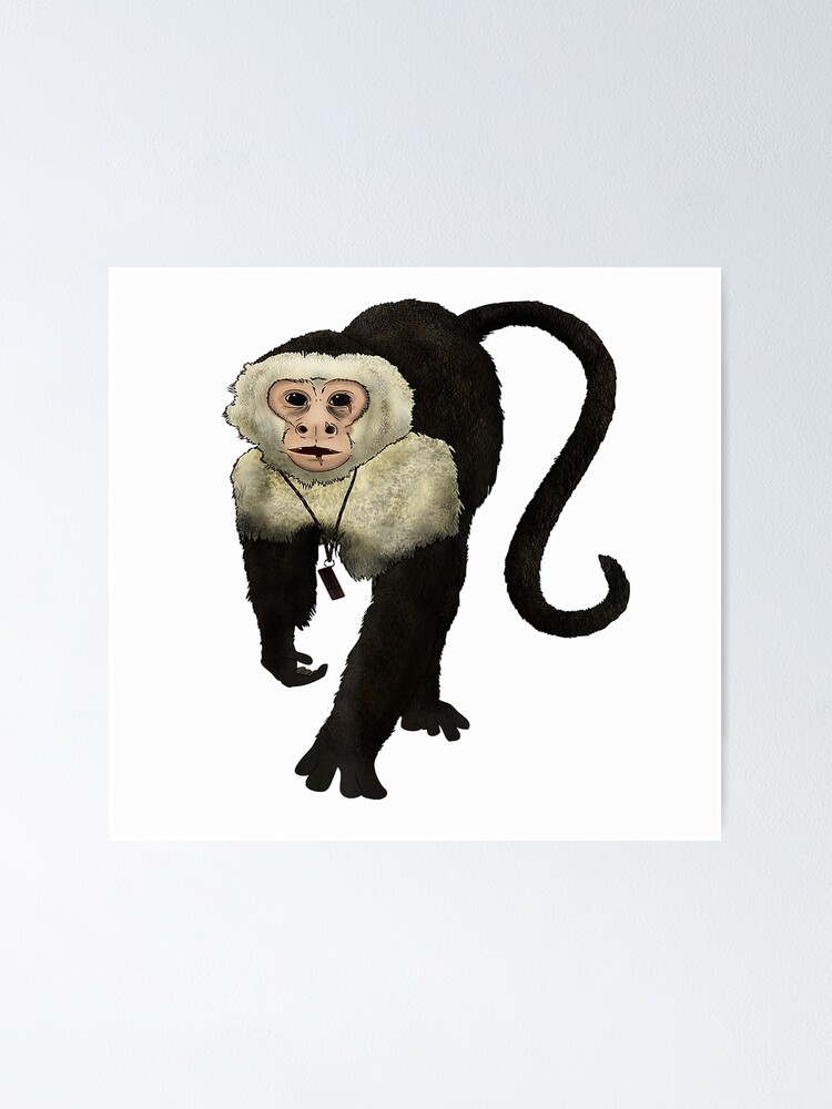 "Capuchin Animal" Poster for Sale by ScarlettAlex | Redbubble