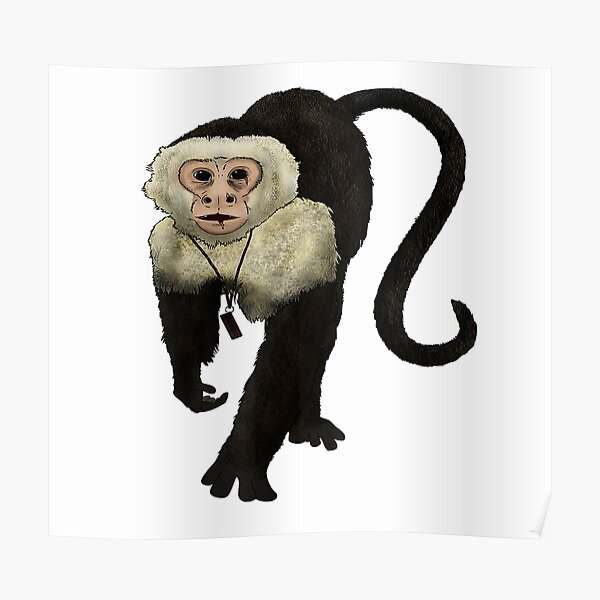 "Capuchin Animal" Poster for Sale by ScarlettAlex | Redbubble