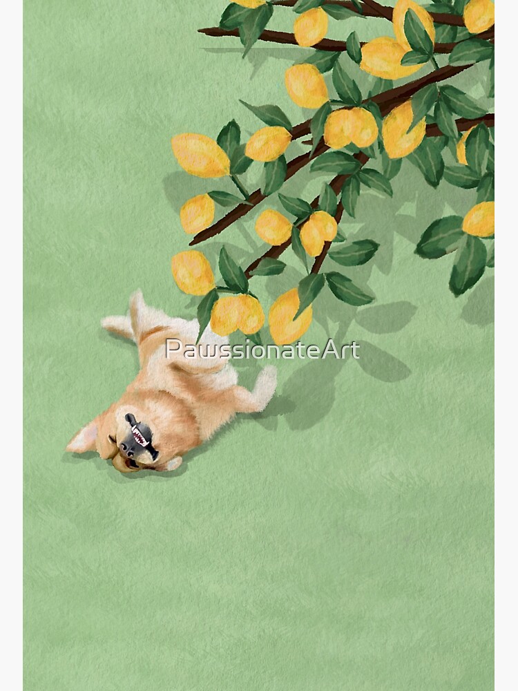 "Happy Dog Under Lemon Tree" Sticker for Sale by PawssionateArt | Redbubble