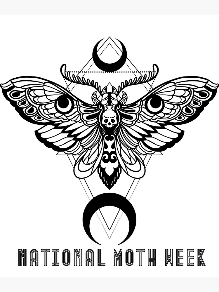 "national moth week 2022" Poster for Sale by irizflower77 | Redbubble