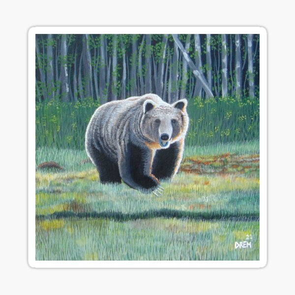 "Morning Grizzly" Sticker for Sale by SparrowMountain | Redbubble
